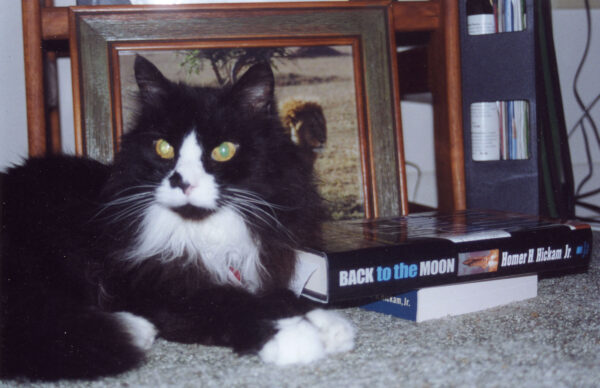 Paco: The Cat Who Meowed in Space - HOMER HICKAM
